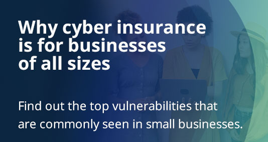 Why cyber insurance is for businesses of all sizes | Credit Passport® Why cyber insurance is for businesses of all sizes | Credit Passport®